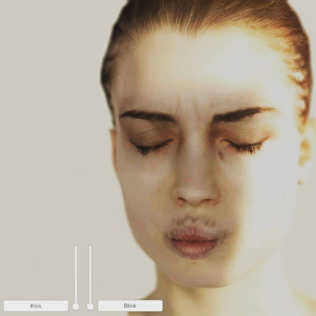 Hyper realism by blending 3D mesh & textures | Wim Wouters